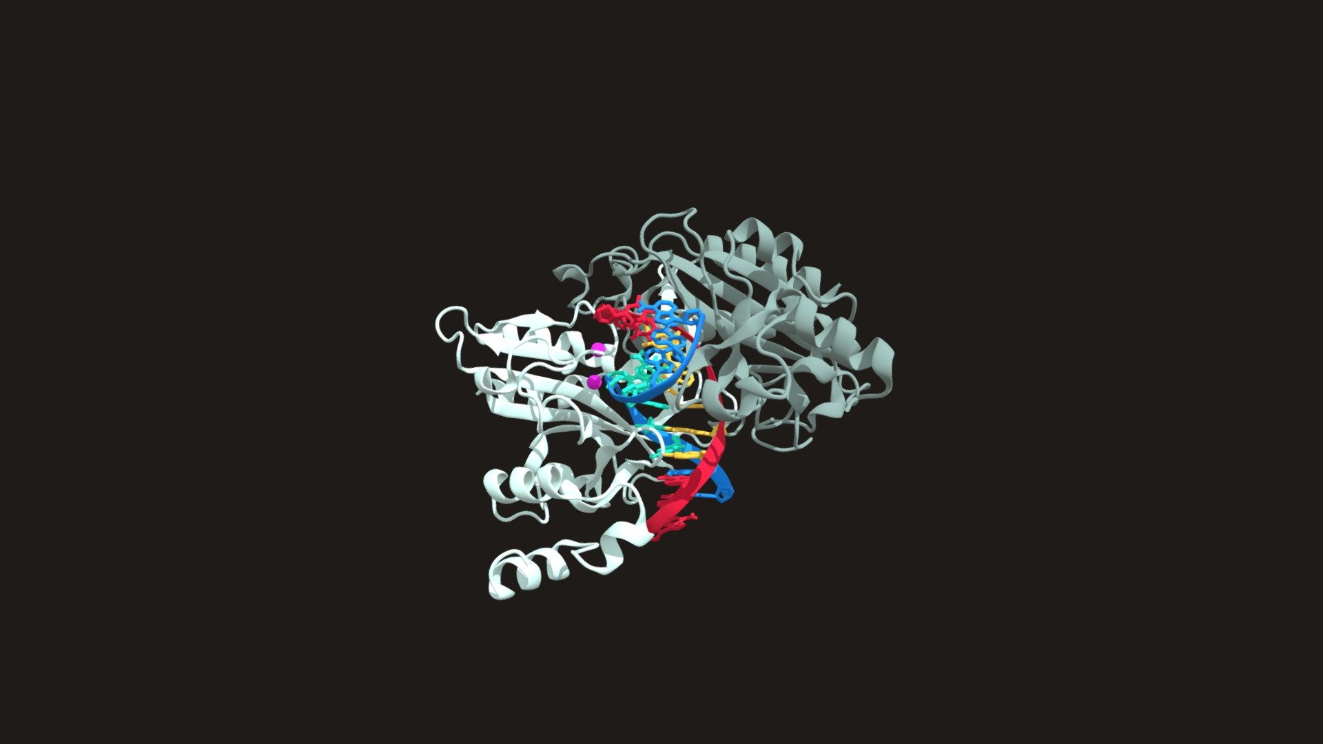 EcoRV Restriction Enzyme Hydrolyzing DNA - 3D model by gvsuchem (@gvsu ...