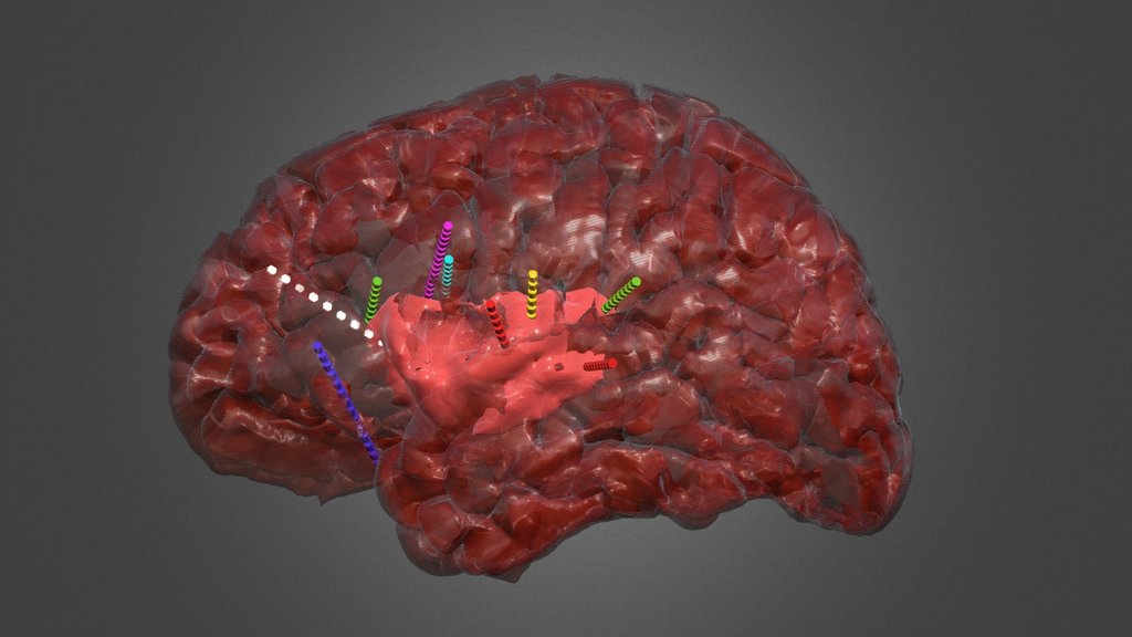 brain - A 3D model collection by metalab (@lukutaes) - Sketchfab