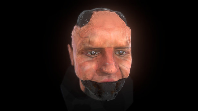 Hopkins 3D models - Sketchfab