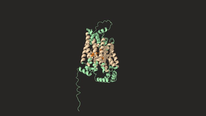Proteinstructure 3D models - Sketchfab