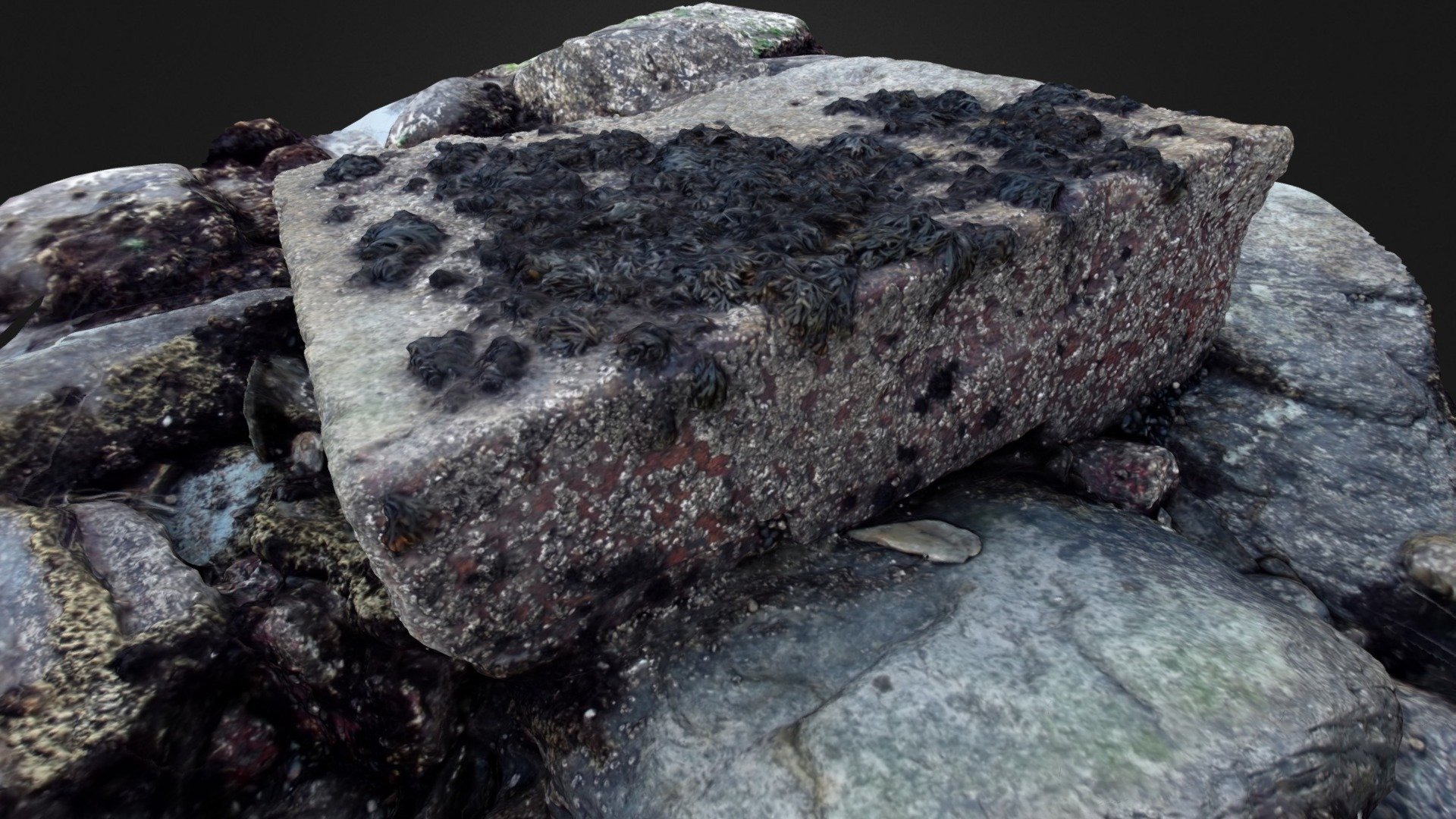 The Original Granite Monster? - 3D model by New England Explorers ...