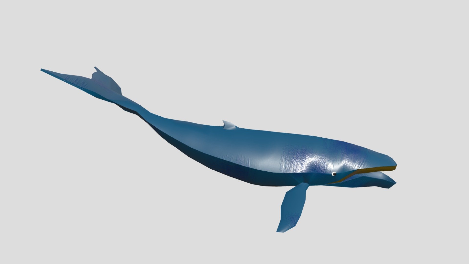 whale - 3D model by umi14 [a4985b2] - Sketchfab