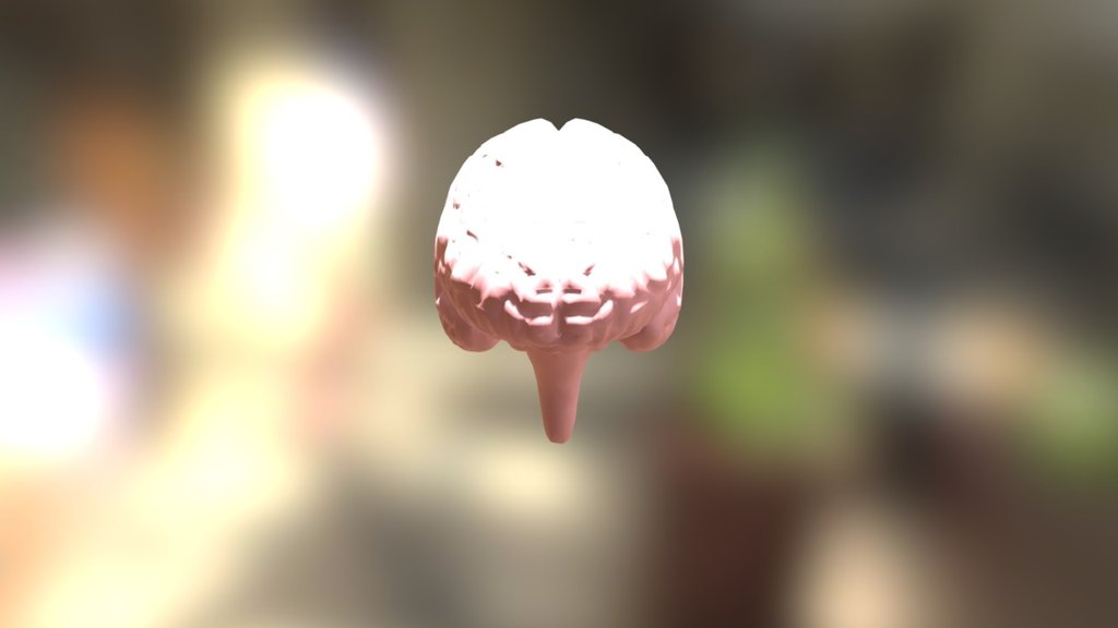 Brain - 3D model by Char156 [a4a1381] - Sketchfab