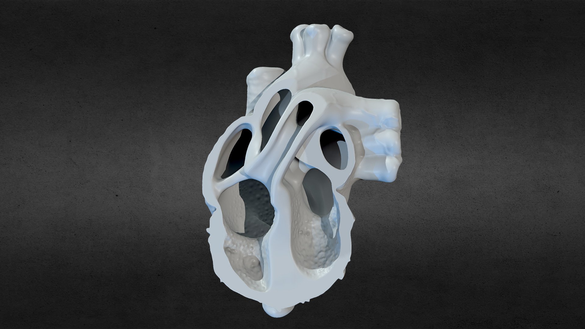 Open Heart Clean UV No Texture FULL HD - Buy Royalty Free 3D model by ...