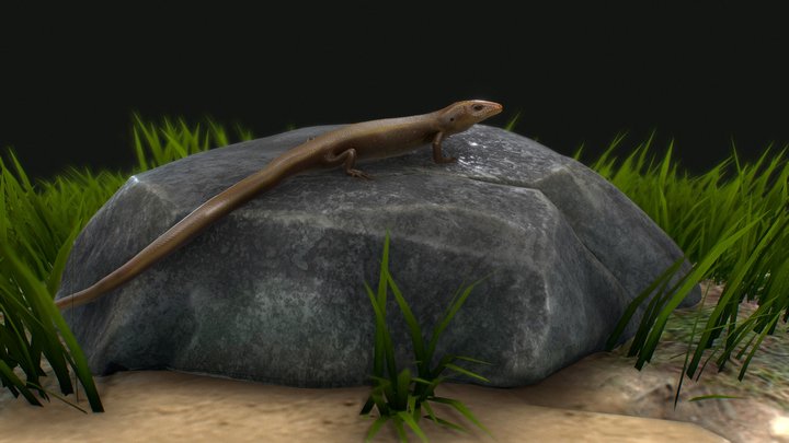 Biosphere 3D models - Sketchfab