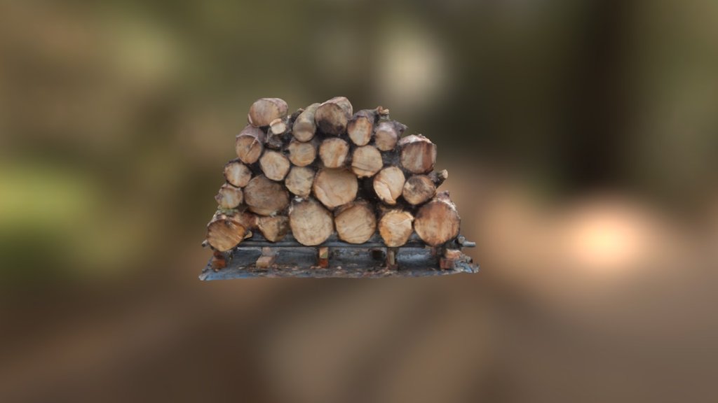 Wood_pile - 3D model by DrRickThomas (@RickThom) [a4a96da] - Sketchfab