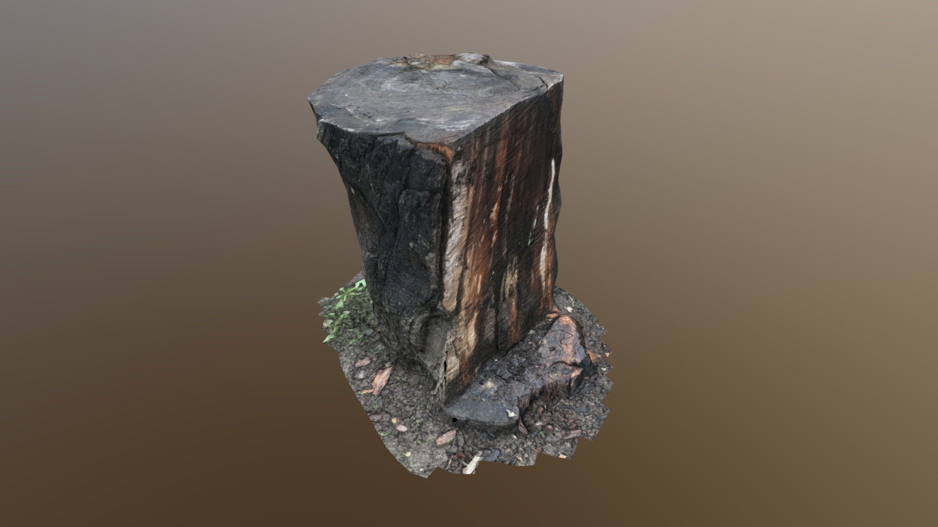 Tree Stump - Download Free 3D model by RMrando [a4aa923] - Sketchfab