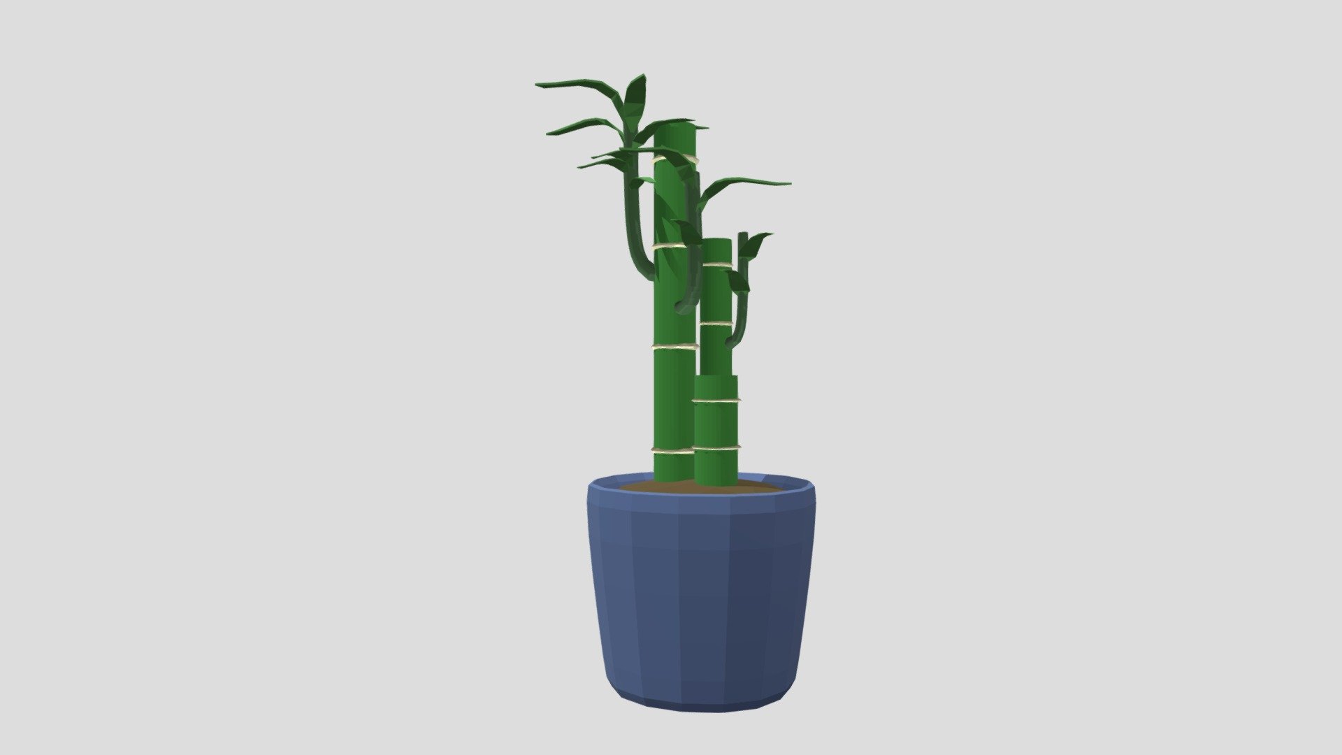 Bamboo Plant - 3D model by kimmkimm [a4aad84] - Sketchfab