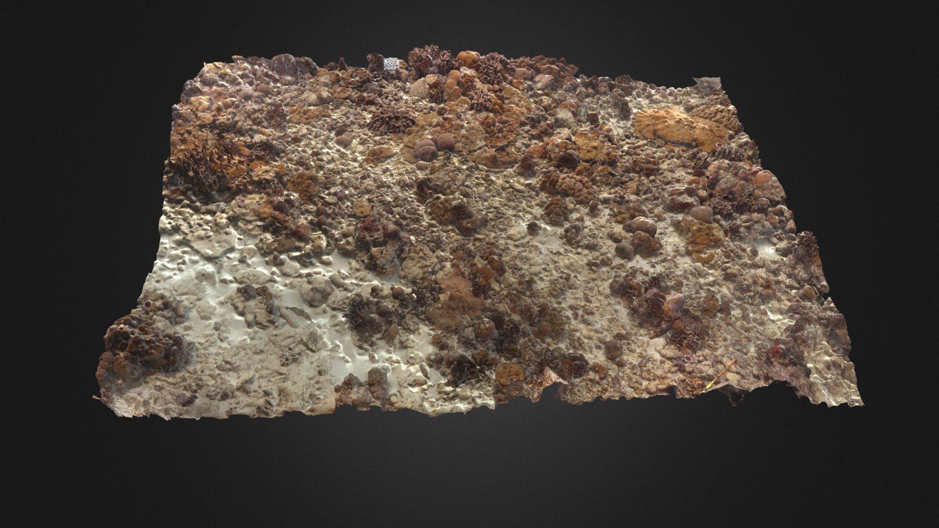May 2015 north-west reef, Kiritimati, Kiribati - 3D model by baumlab ...