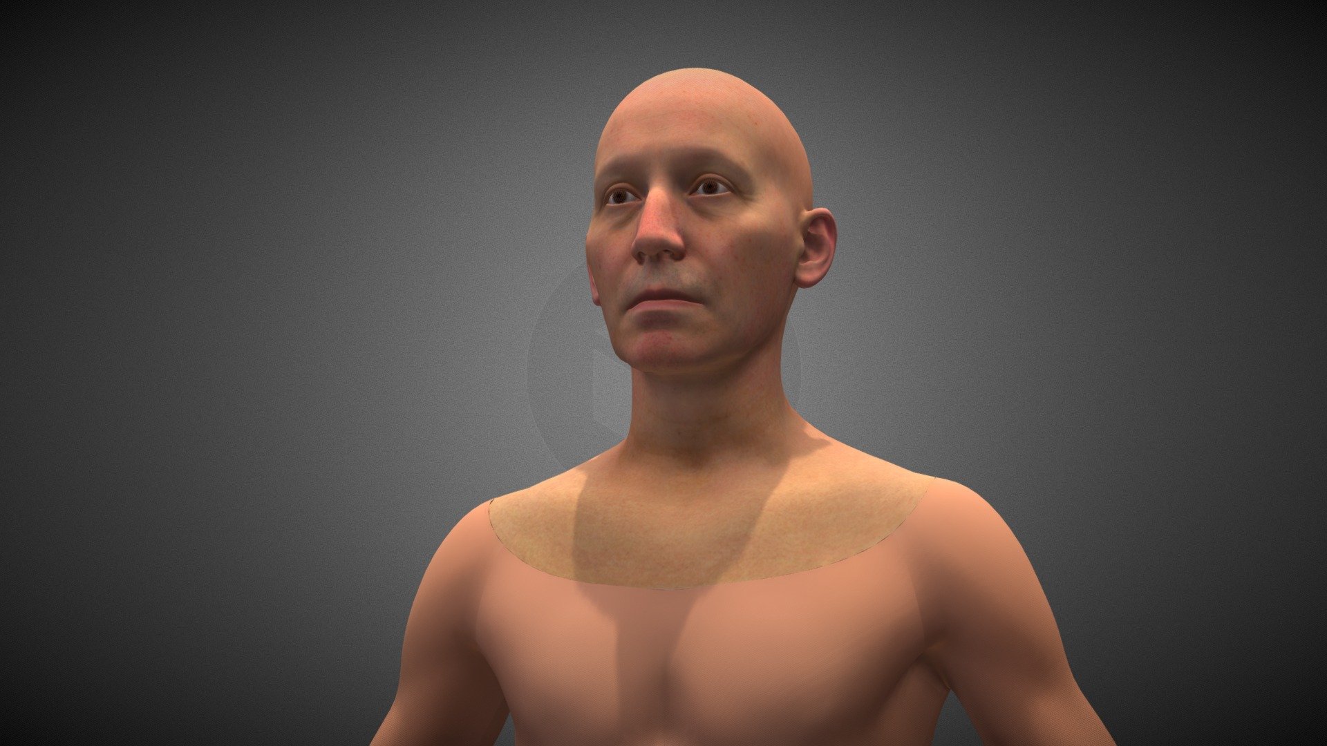 Male01 - Download Free 3D model by Hussein Al-Rawaziq (@HusseinAlrowazk ...
