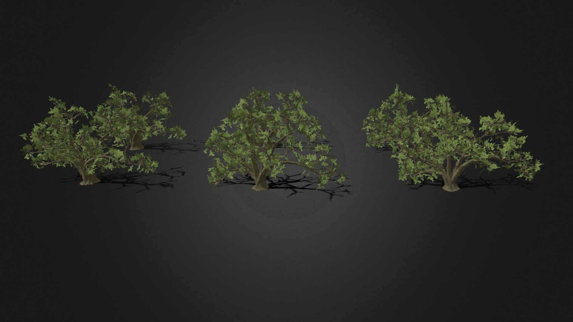 Oak Tree Variations With Low Poly Variants - Download Free 3D model by ...