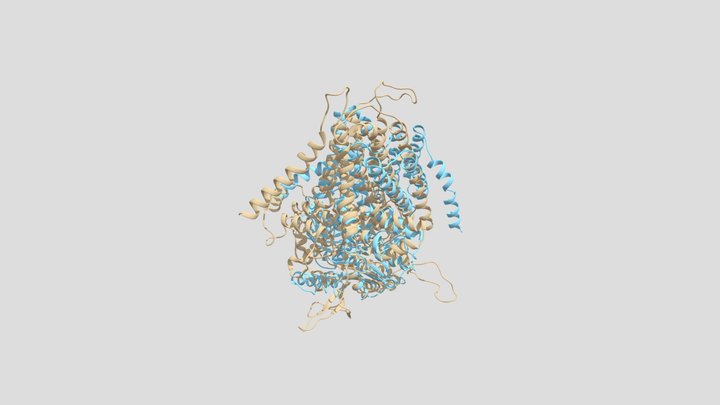 Cellulose 3D models - Sketchfab