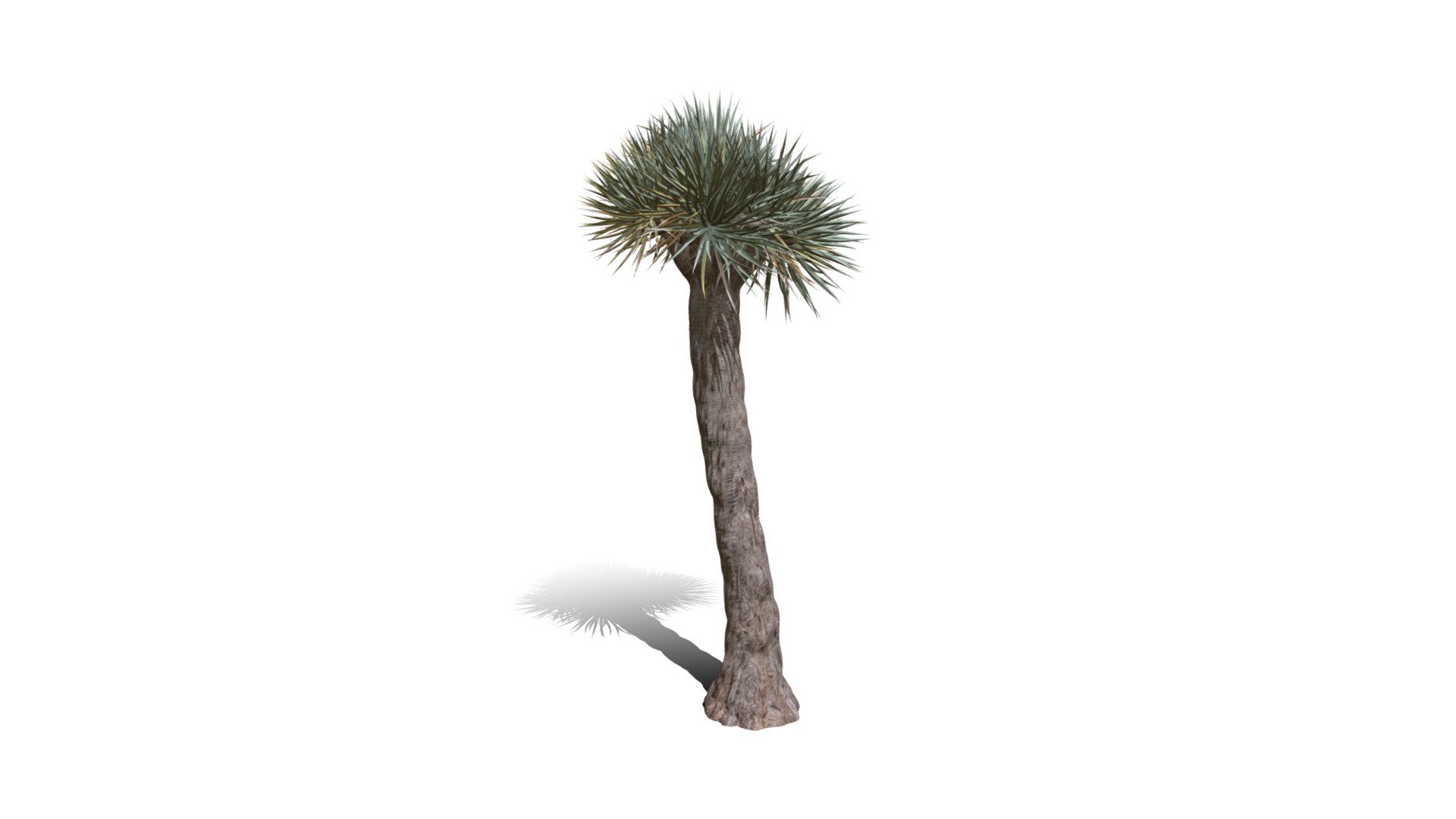 Realistic HD Dragon tree (48/50) - Download Free 3D model by ...