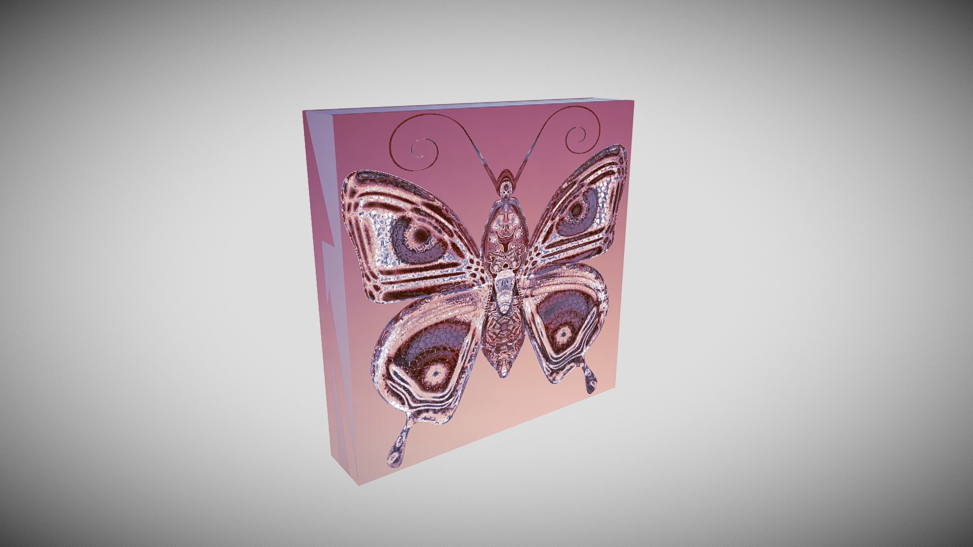 newbutterfly2 - 3D model by 1DigitalSmith [a4e6c26] - Sketchfab