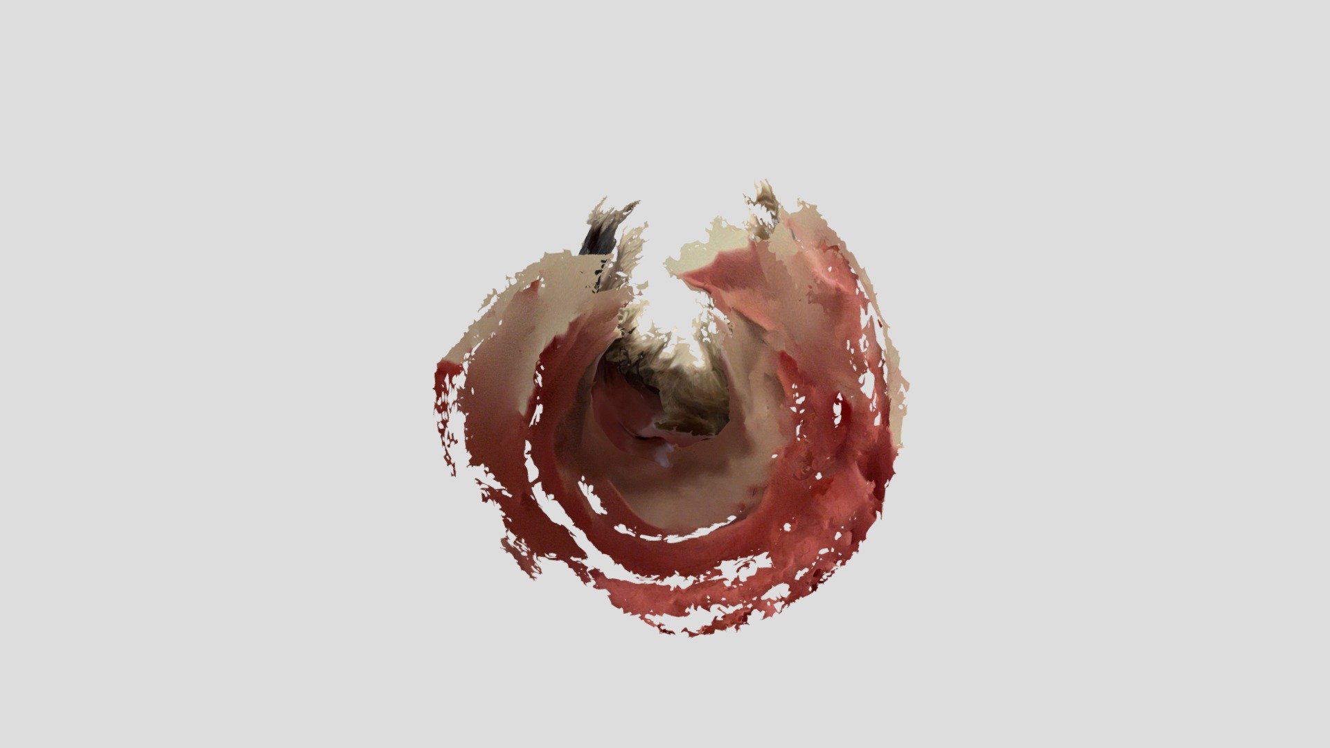 Untitled Scan - Download Free 3D model by nightingale.adrian [a4f0dd1 ...