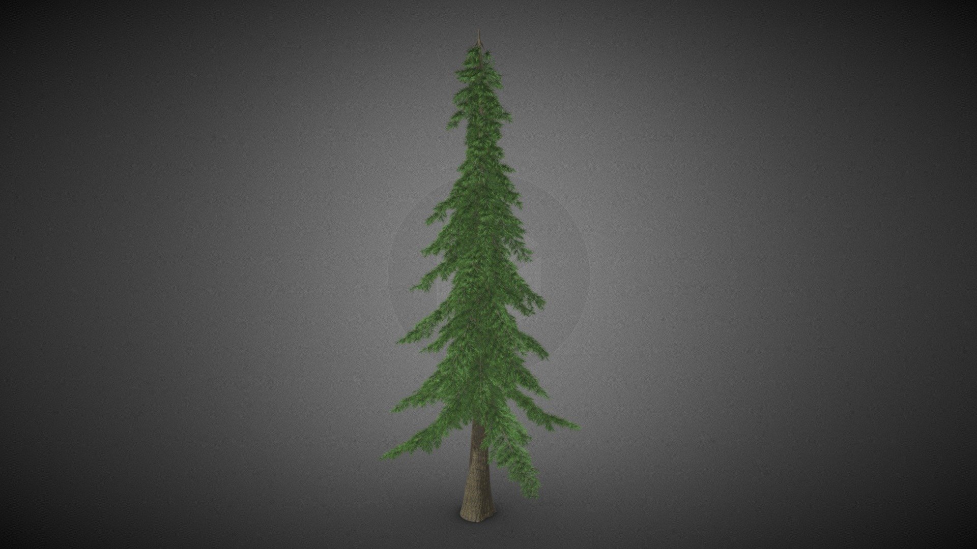 Pine Tree - Buy Royalty Free 3D model by misitewang [a4f0e4b ...