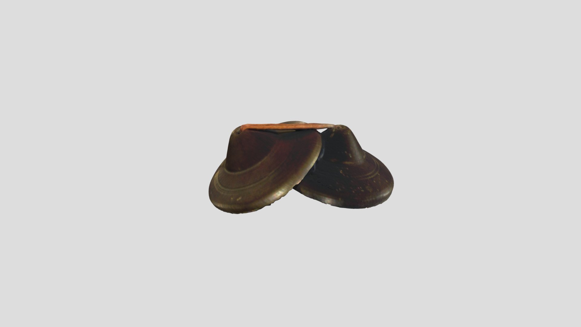 Cymbals - 3D model by Aberdeen City Libraries (@AberdeenCityLibraries ...