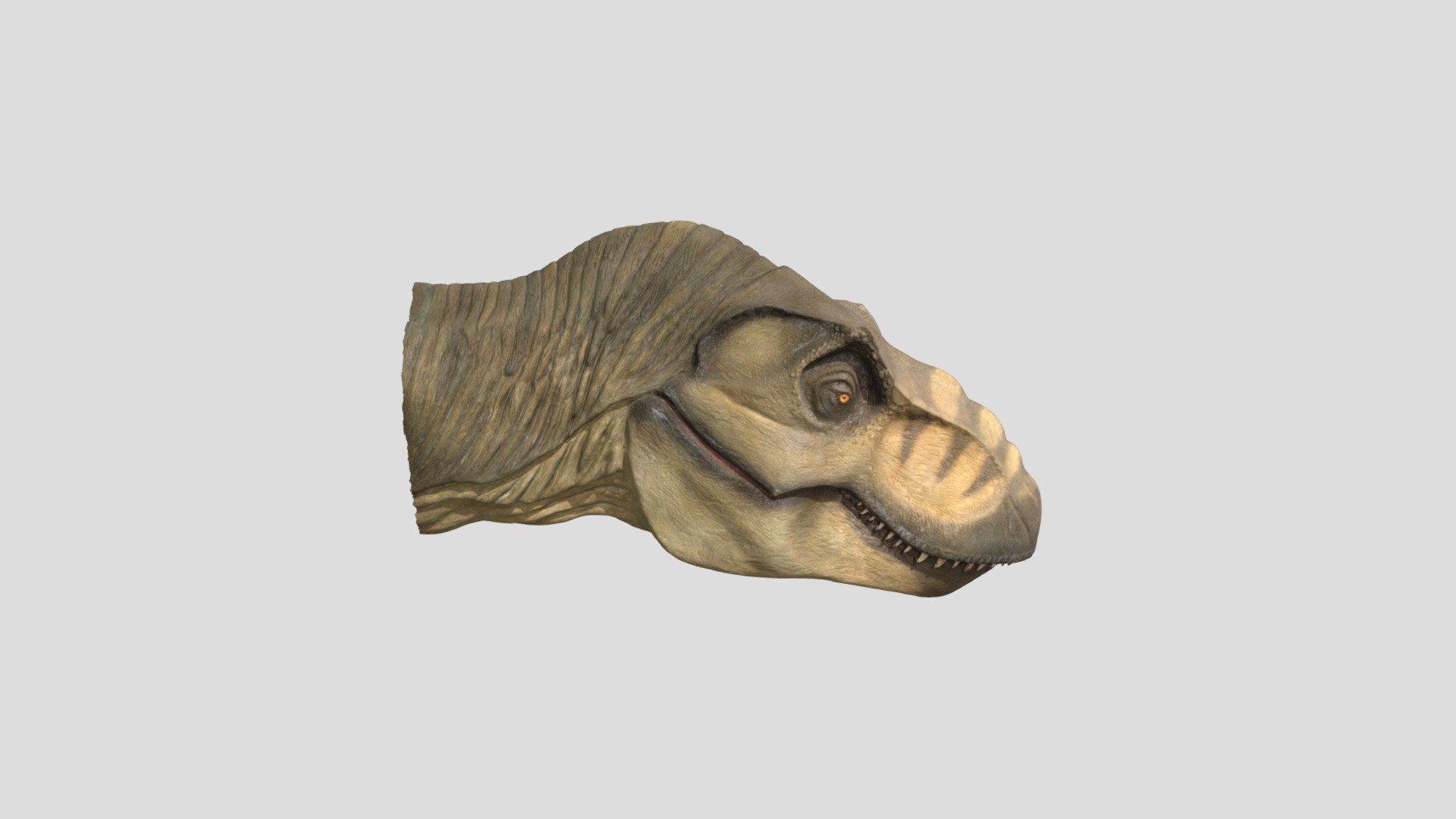 T- Rex head - Buy Royalty Free 3D model by Naturaliter [a4f5ce5 ...