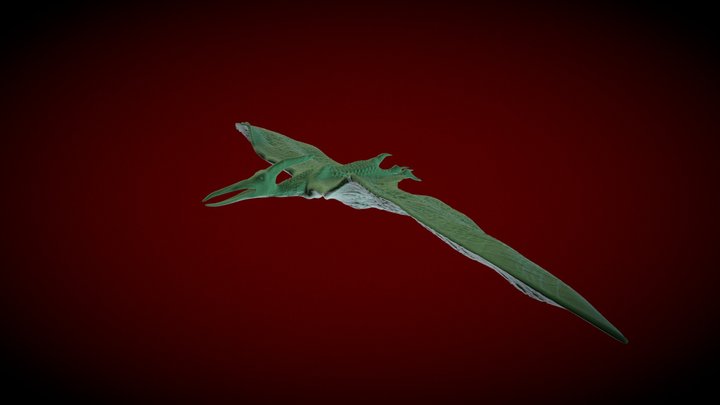 Pterodactyl 3D models - Sketchfab