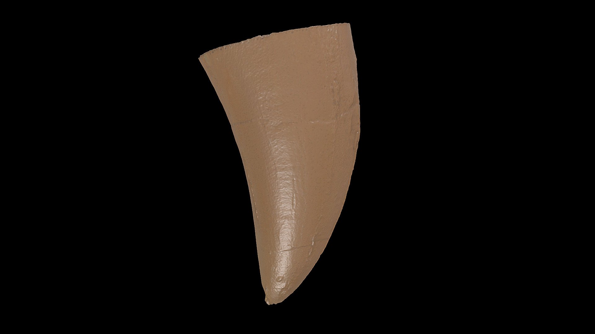 T-Rex Tooth Cast 2 3D Scan - Download Free 3D model by Laser Design ...