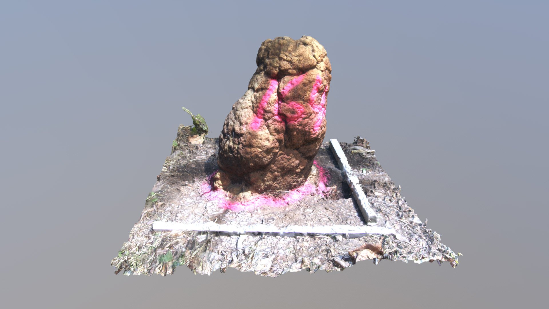 Termite mound Tp4-2016 - 3D model by pnauer [a512972] - Sketchfab