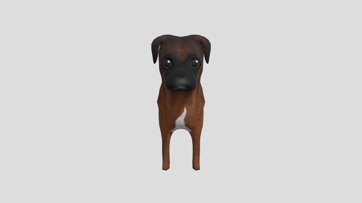 Boxer 3D models - Sketchfab