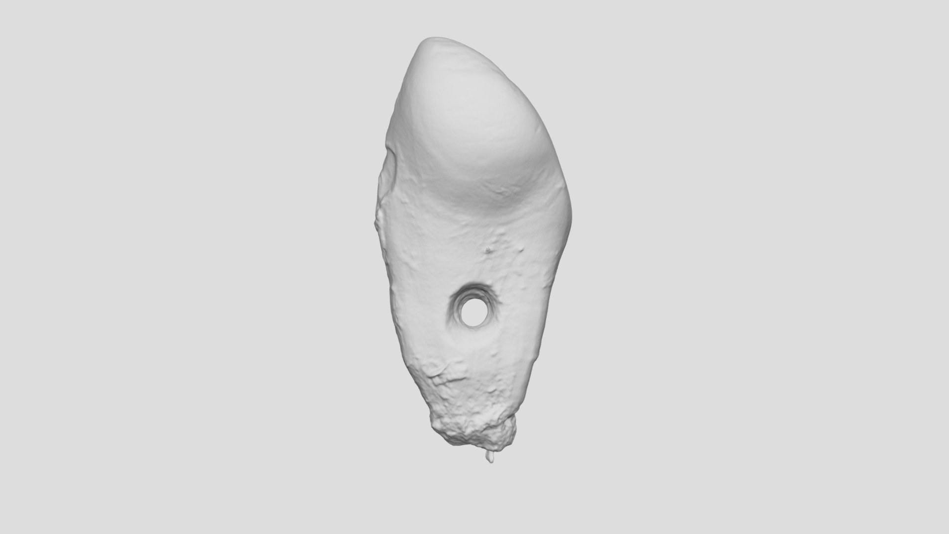 Exp. 33 Perforated - 3D model by Josh.London [a528664] - Sketchfab