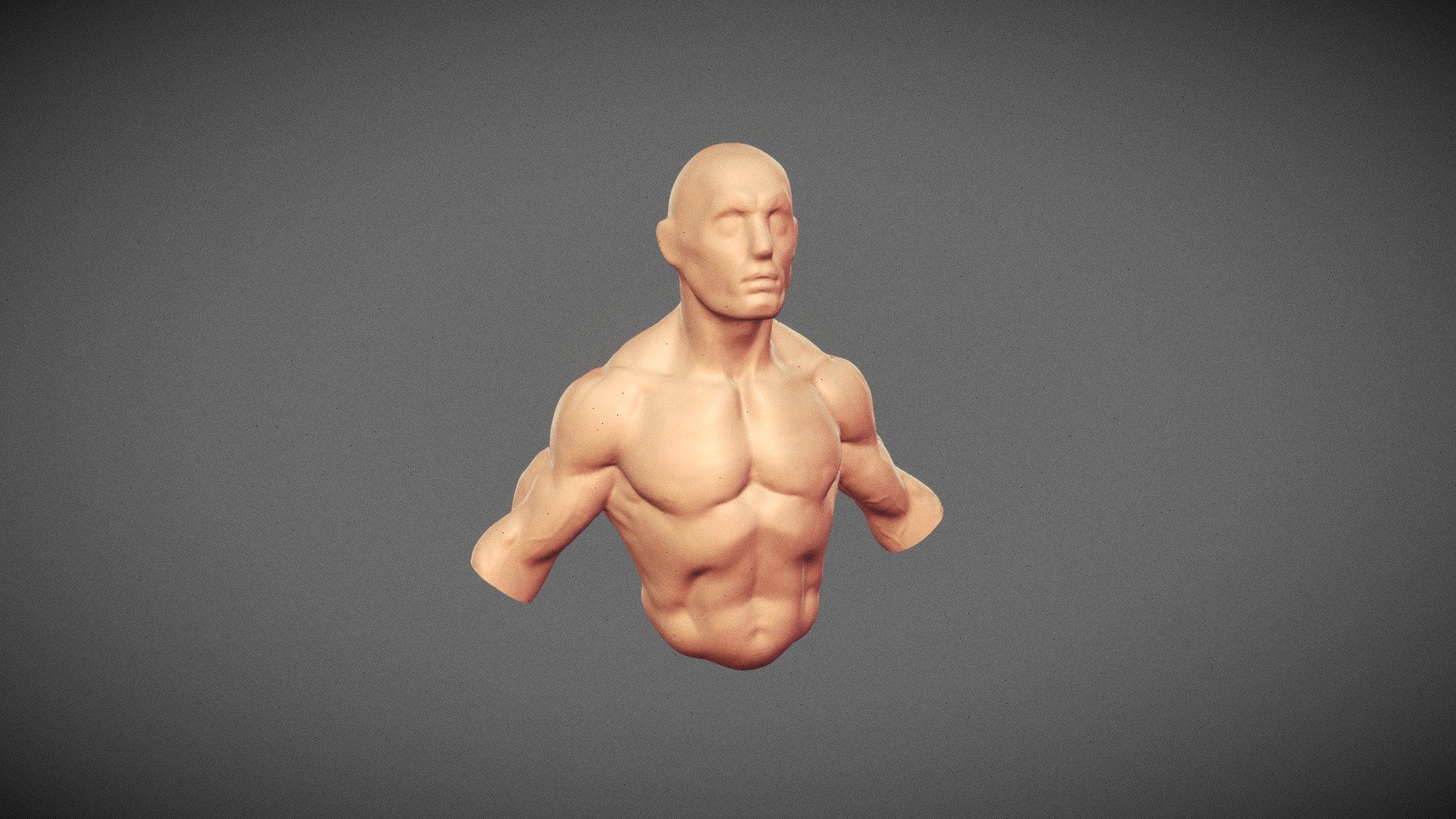 Torso - 3D model by dasha_kur [a529f3c] - Sketchfab