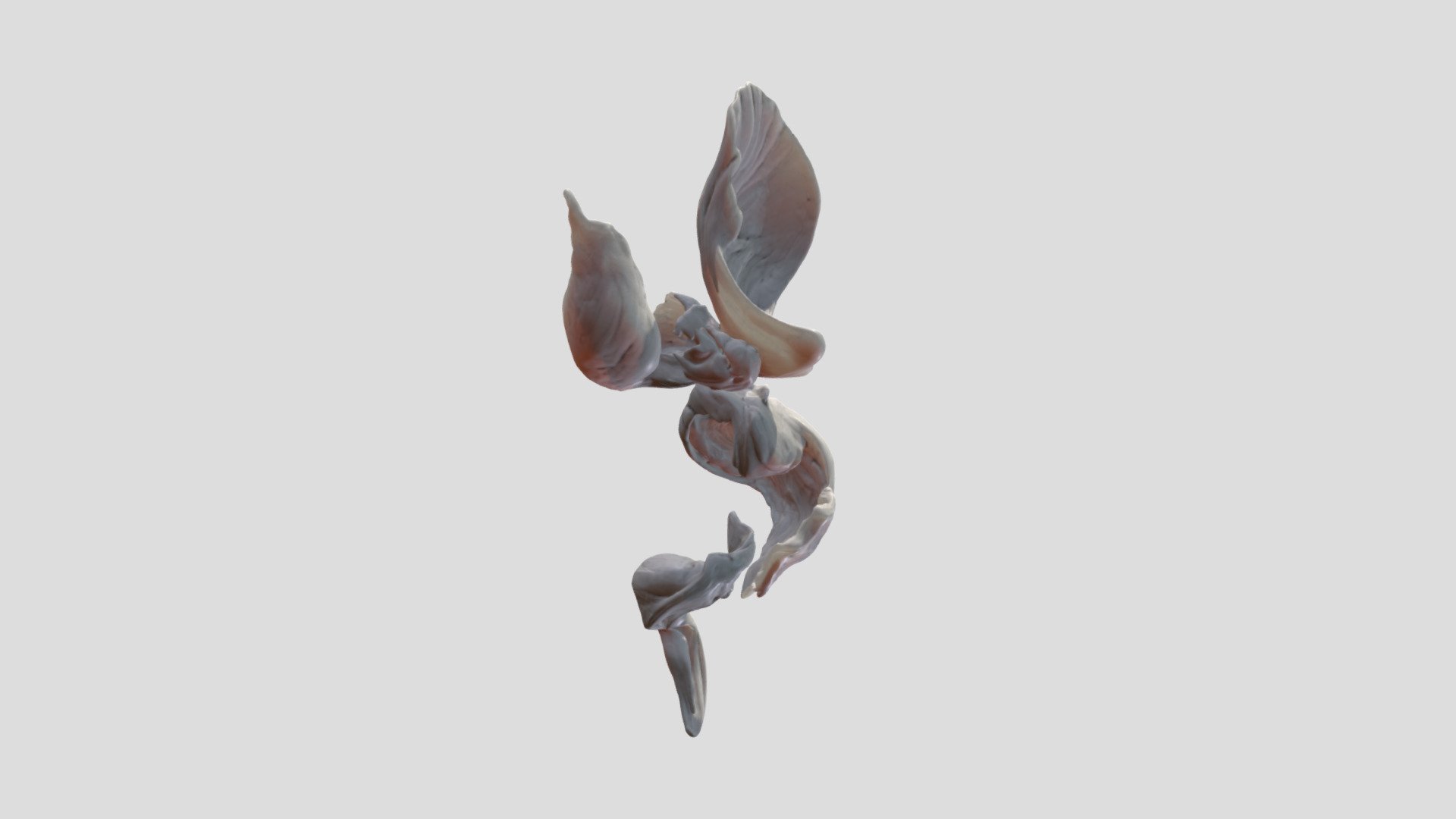 Fuller-shells-sketch-03 - 3D model by bourgoynestudio [a53012c] - Sketchfab