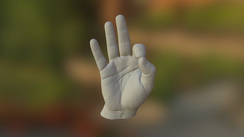 Hand OK - 3D model by FacFox (@michaeledi) [a5392f6] - Sketchfab