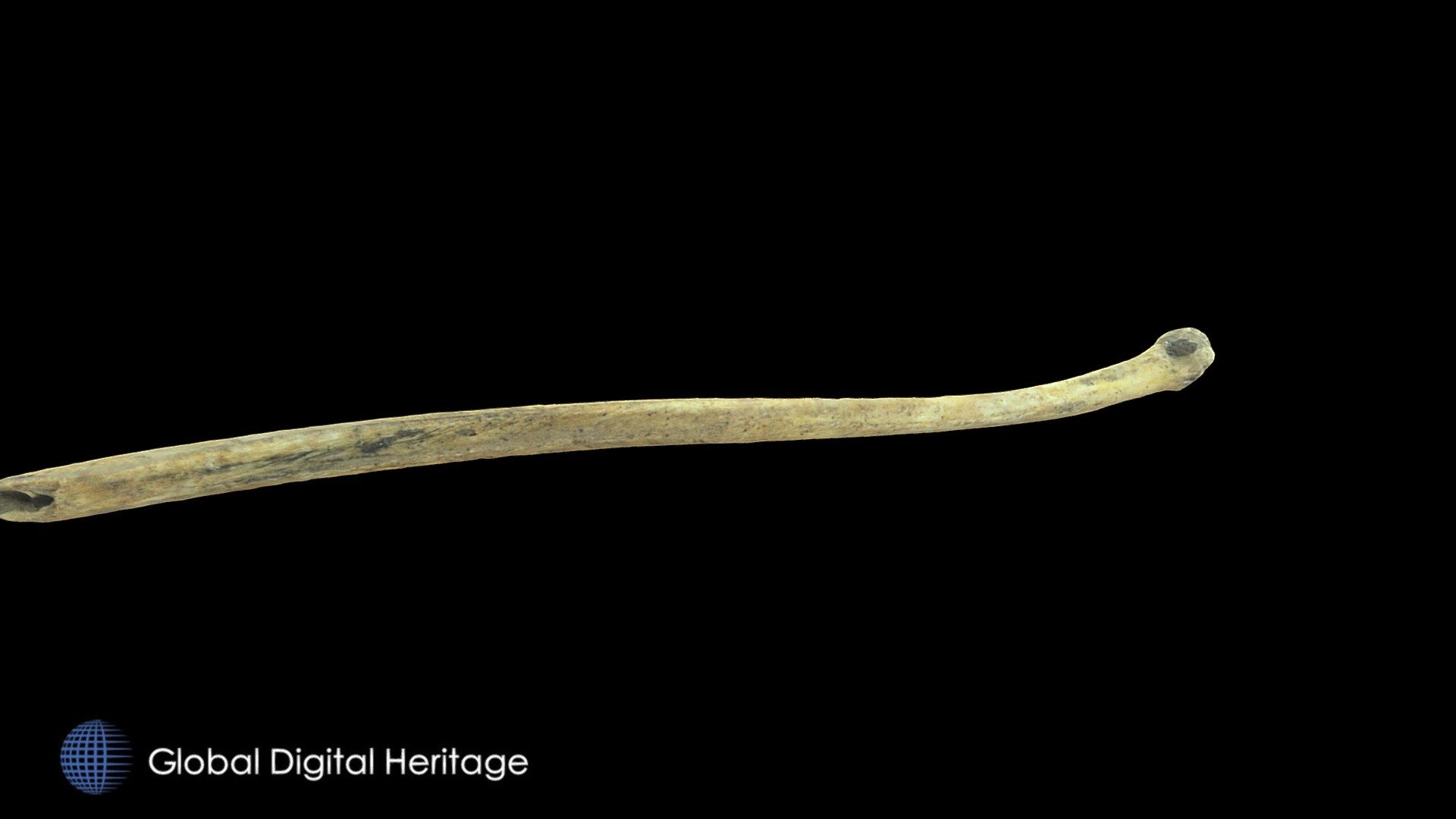 Bird Bone Awl, XCB-105-54945 - Download Free 3D model by Global Digital ...