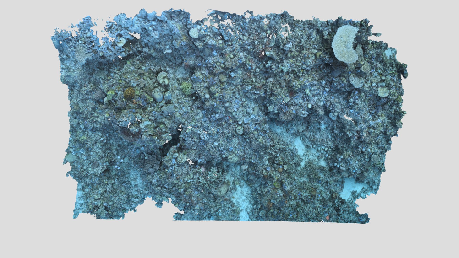 Davies_FL1D_P4_202201 - 3D model by EcoRRAP (@AIMSEcoRRAP) [a53f027 ...