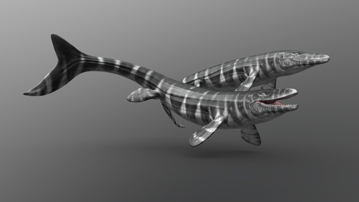Ocean 3D models - Sketchfab