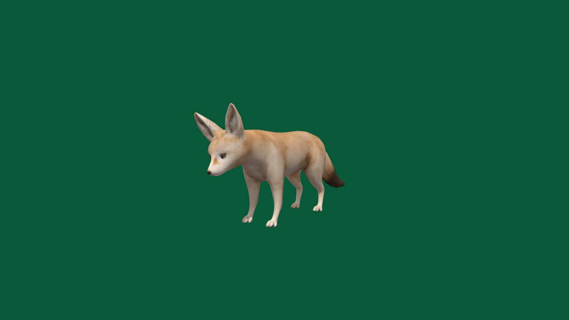 Fennec fox (low_poly) - Buy Royalty Free 3D model by Nyilonelycompany ...