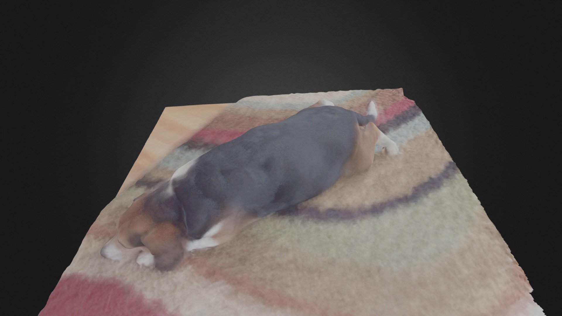Long Beagle Dog - 3D model by Henry Koren (@hkoren) [a545b31] - Sketchfab