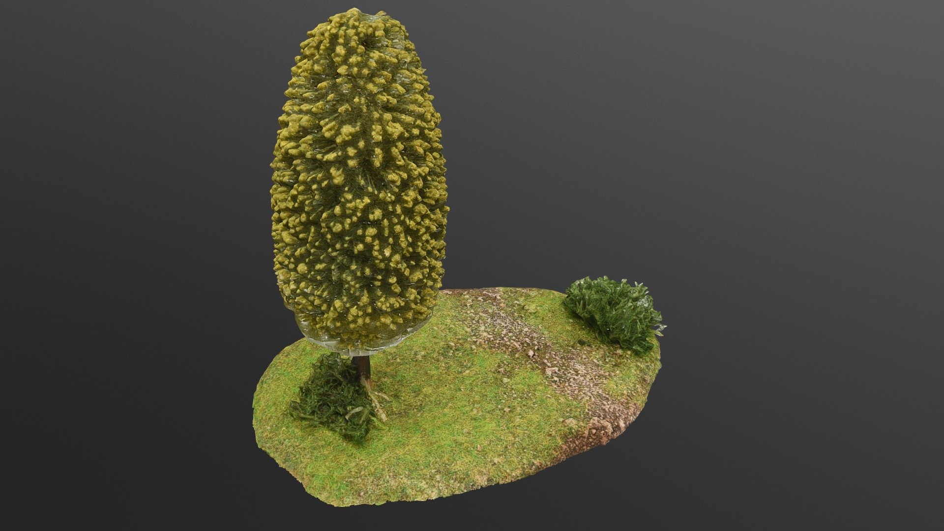 Forest terrain 1 - 3D model by Pierre-Antoine (@pa) [a54cb0e] - Sketchfab