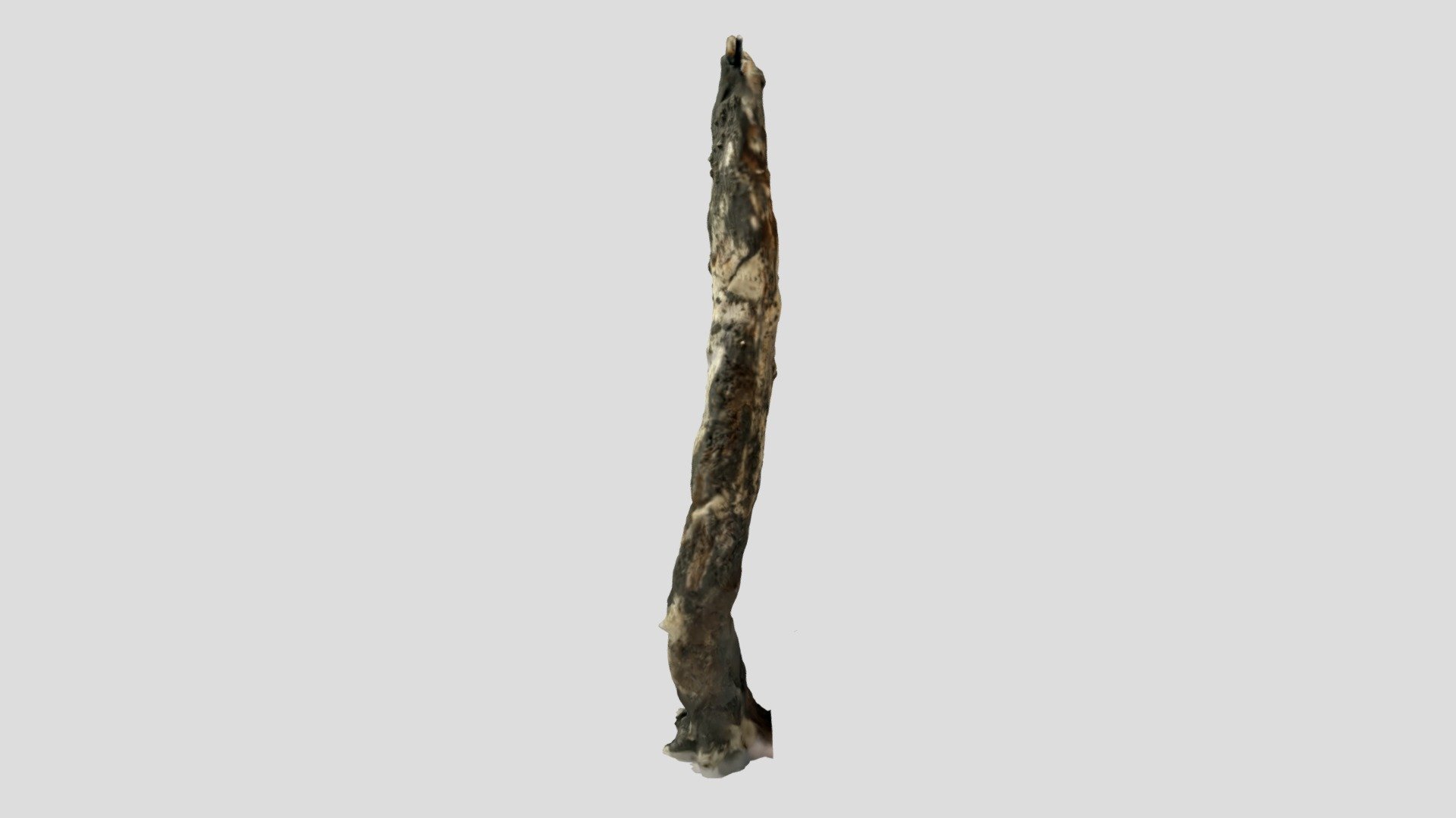 Half-dead tree clay sculpture - Download Free 3D model by gootherts ...