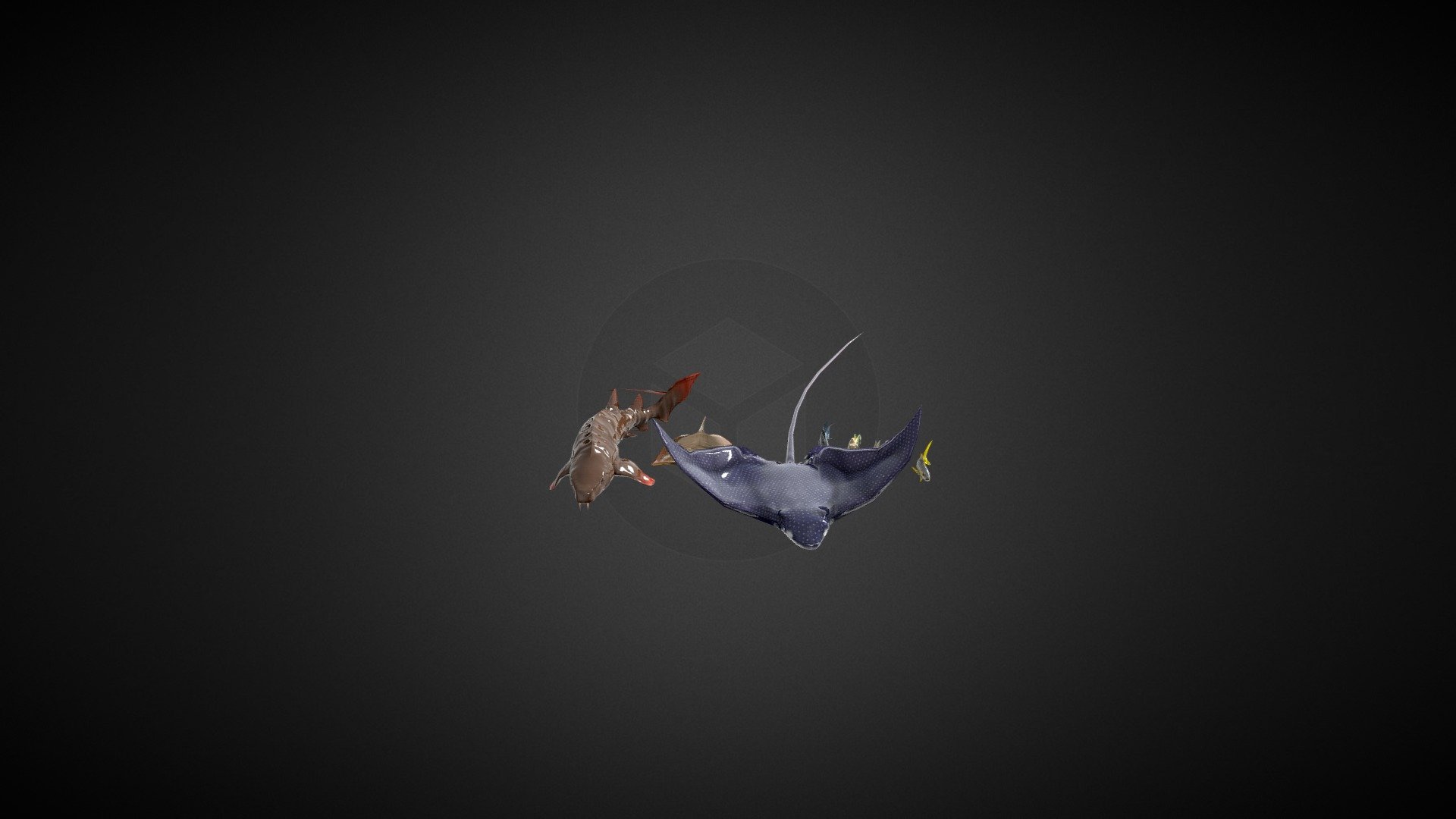 Realistic Caribbean Fishes | VR Ready - 3D model by damphel [a558920 ...