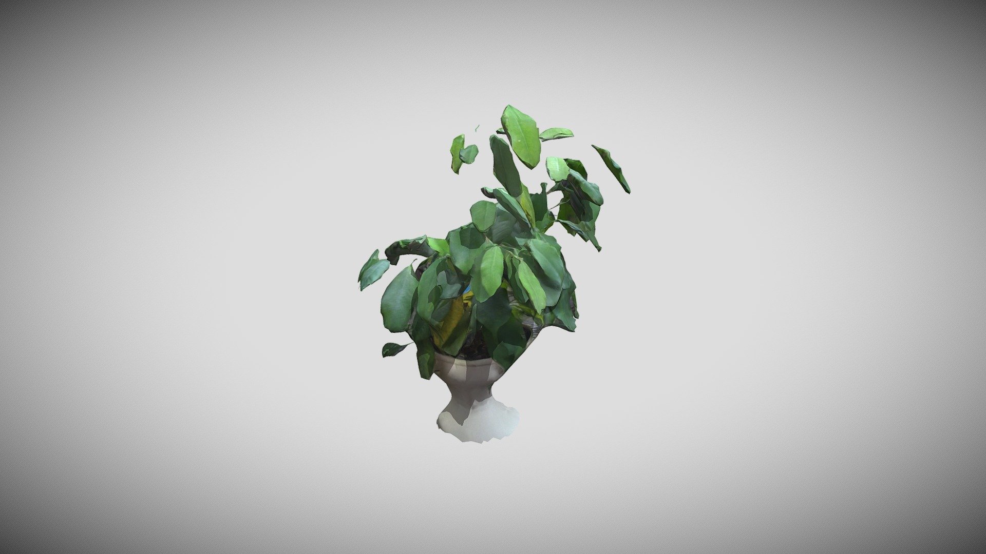 Test 1 - Download Free 3D model by carlvogler94 [a560be8] - Sketchfab
