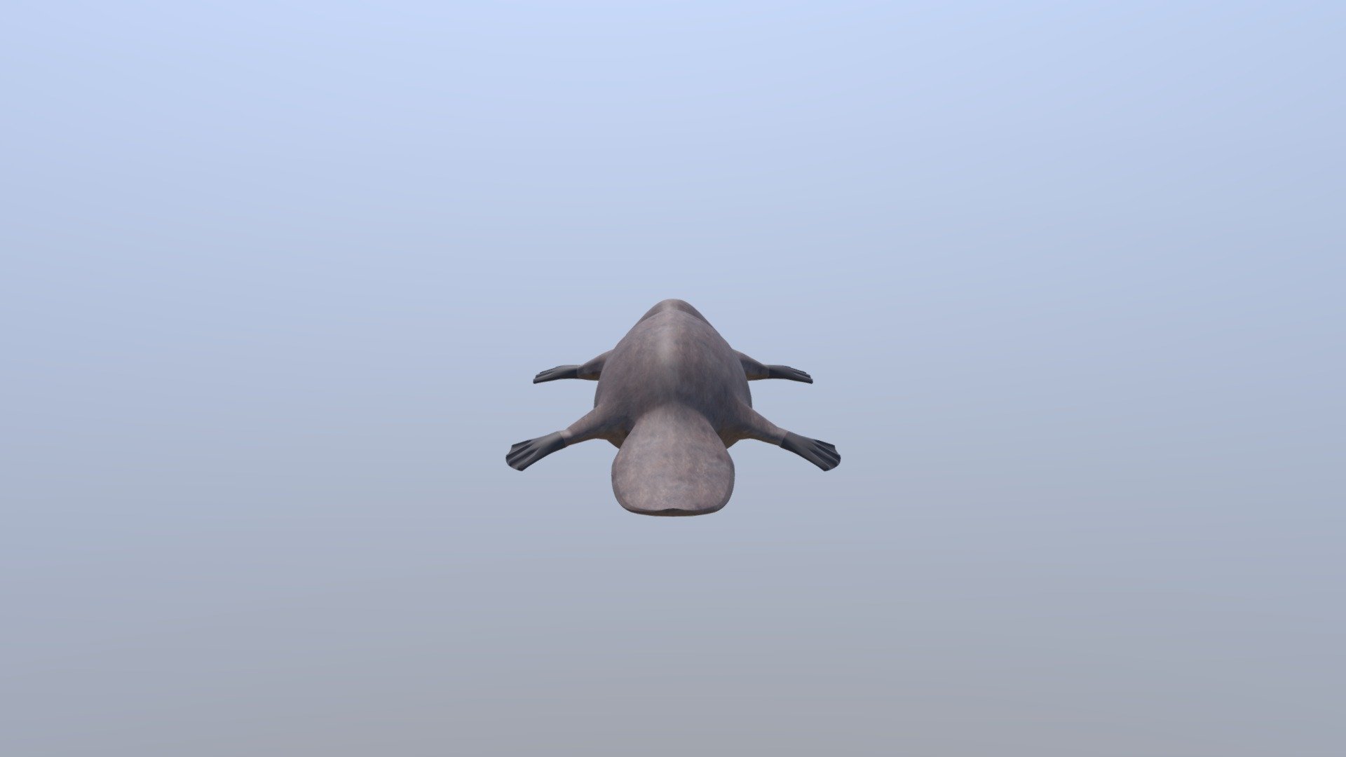 Platypus Final - 3D model by jonnyrogersanimation [a560fdd] - Sketchfab