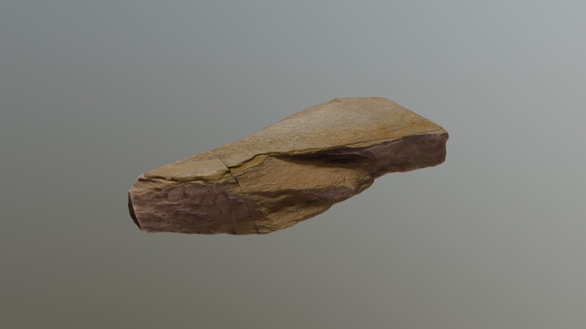 Filita - 3D model by Laboratorio de Paleobiología (@PaleobioLAB ...