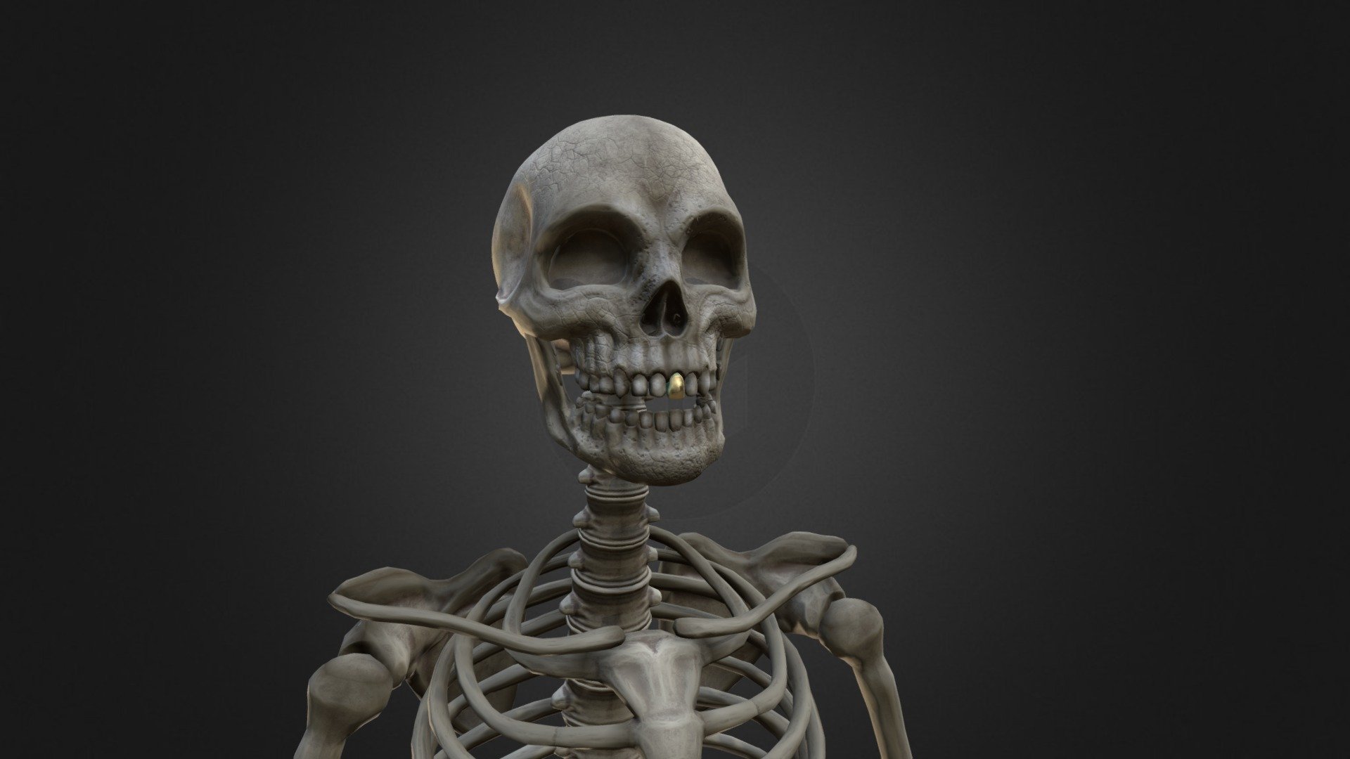 Skelly the Skeleton - Buy Royalty Free 3D model by Glynnybob [a563a9c ...