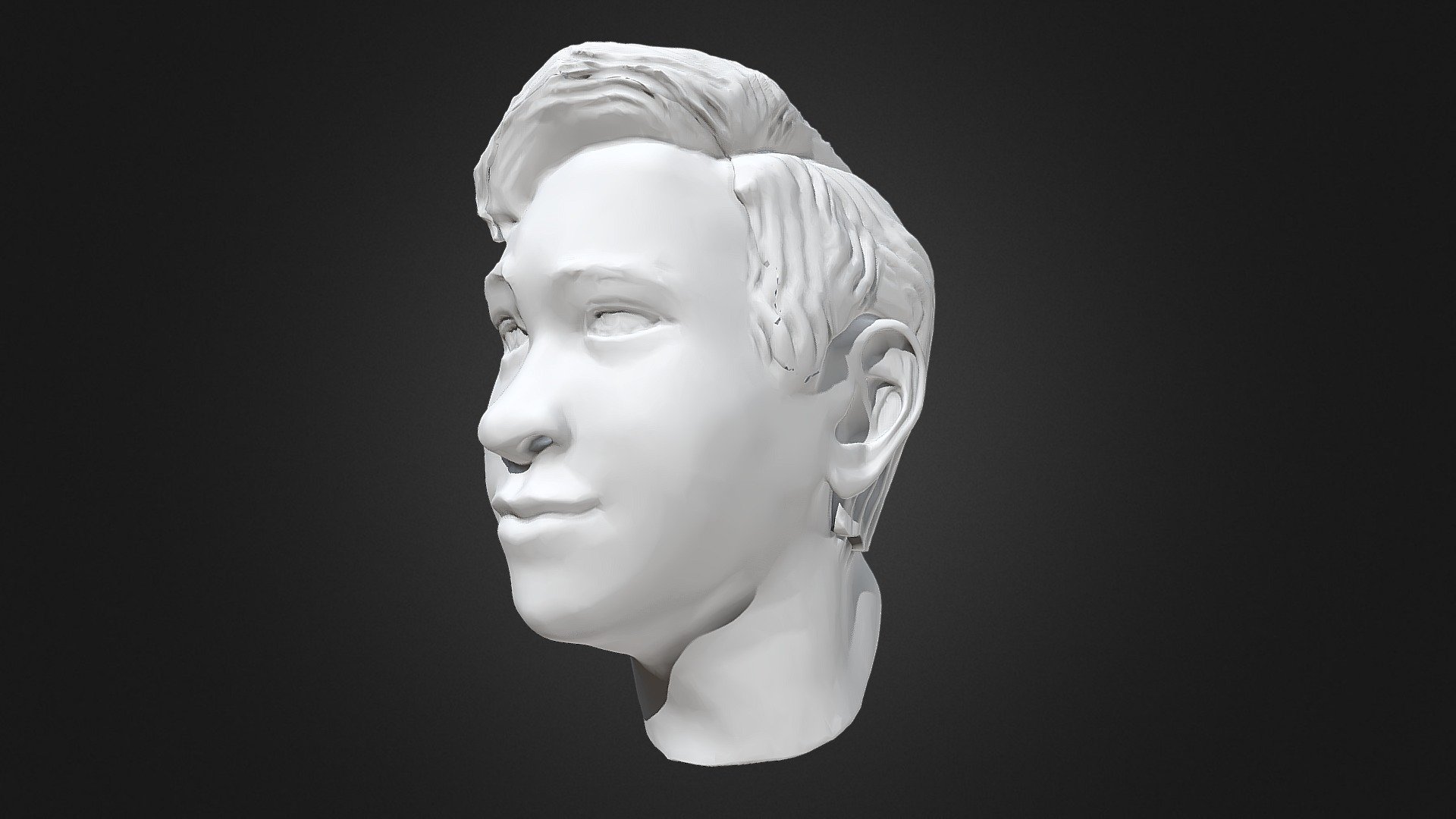 Portrait - 3D model by Kiisaku [a568e5f] - Sketchfab