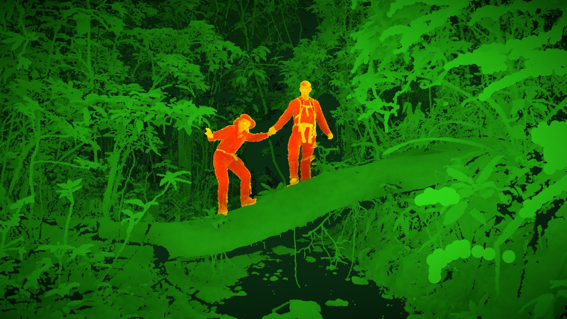 Field Work at Barro Colorado Island, Panama - 3D model by Q-ForestLab (Ghent University ...