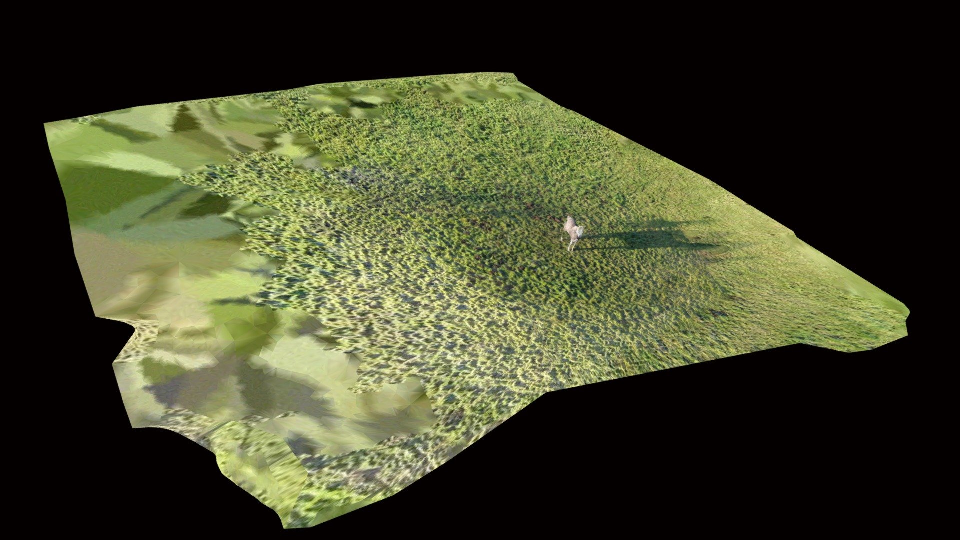 dronecheval19recap - Download Free 3D model by Dumenieu Alain ...