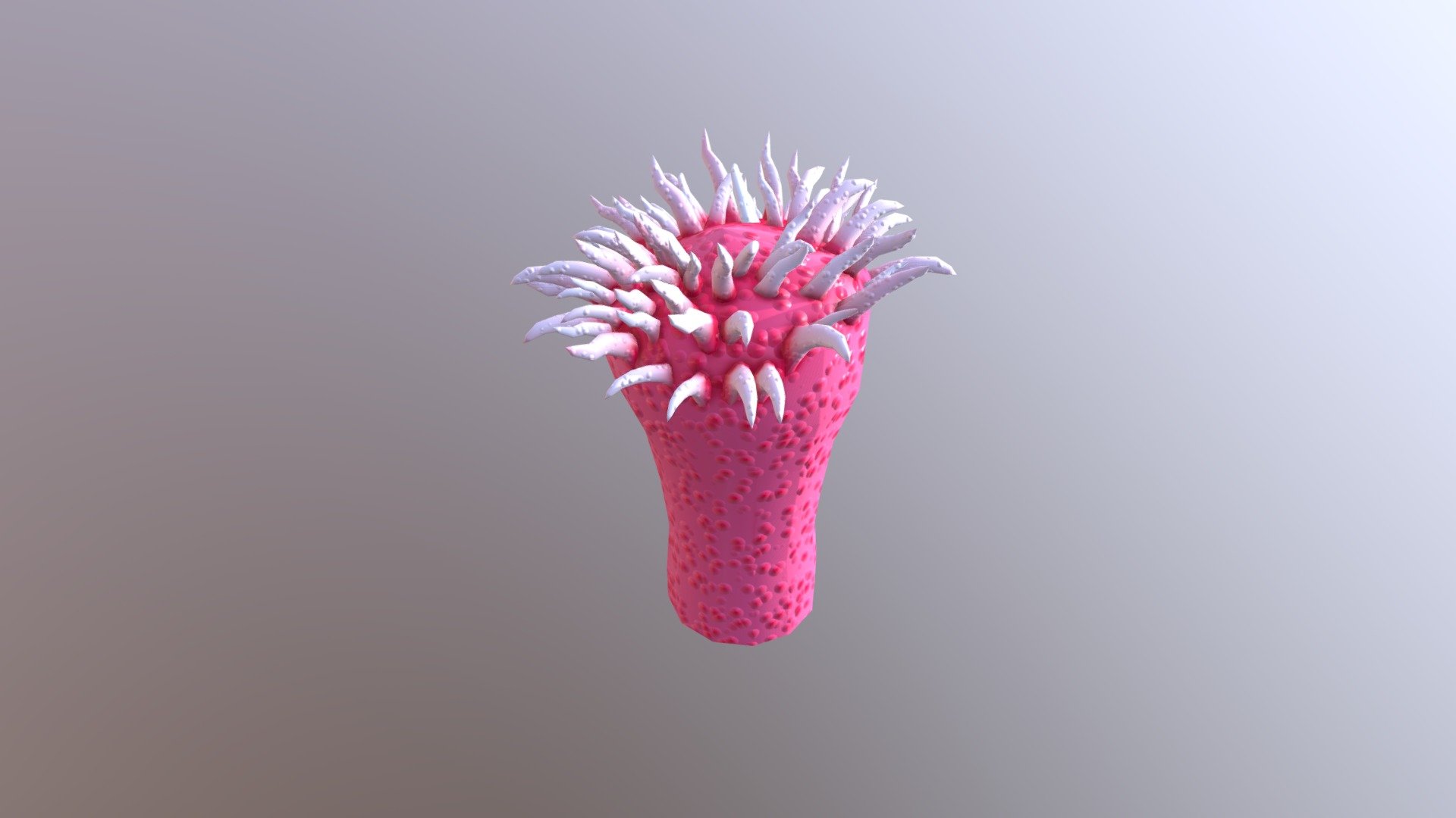 SM_Anemone_01 - 3D model by manuelfuentes13 [a5788a7] - Sketchfab