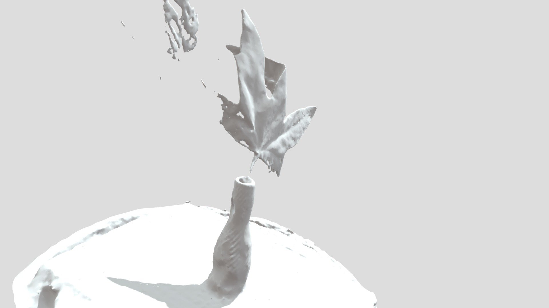 Folded Leaf in Vase - 3D model by dmaf.lab [a579e71] - Sketchfab