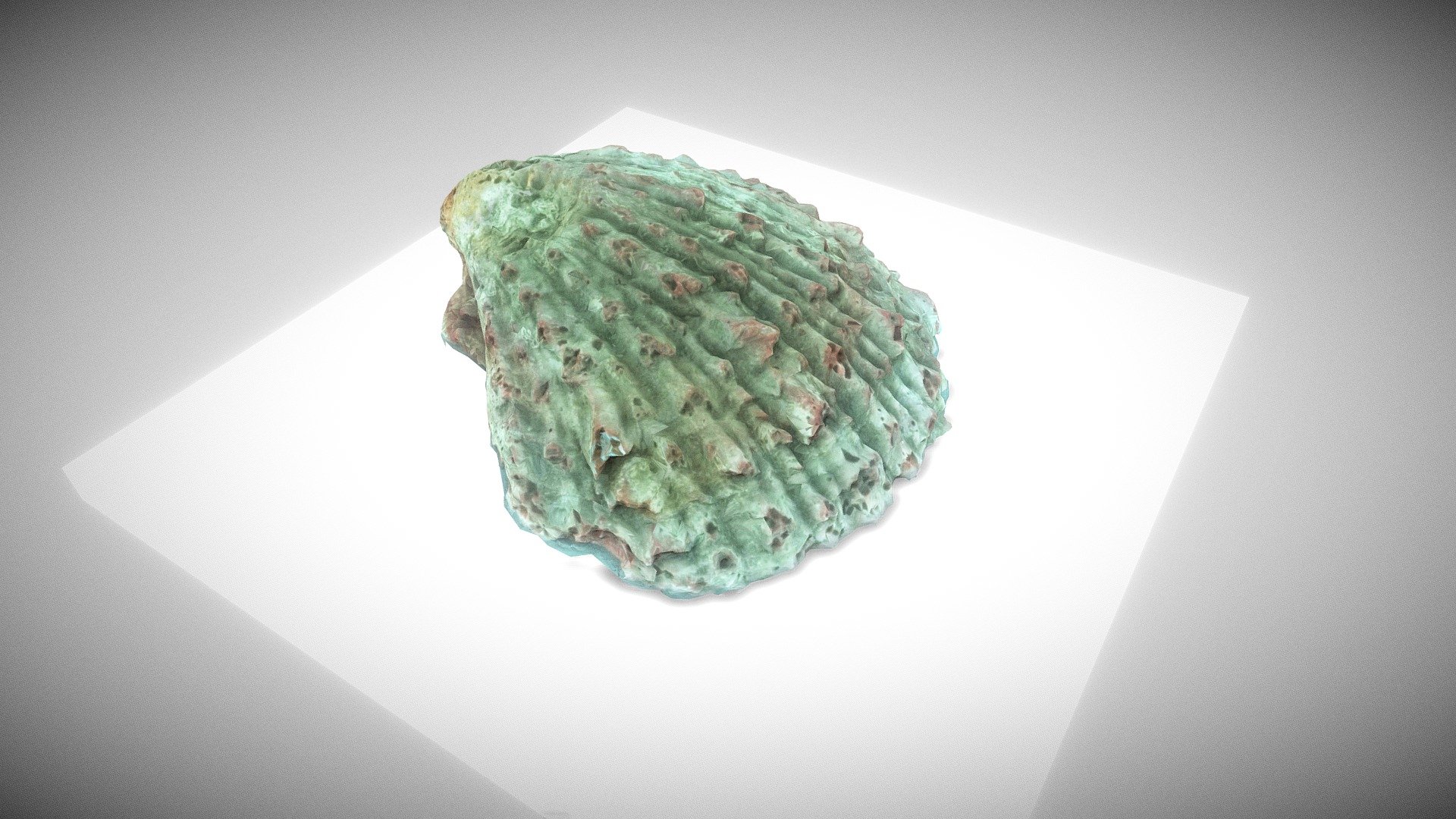 Concha - 3D model by Museo Santuarios Andinos (@museosandinos) [a579f4a ...