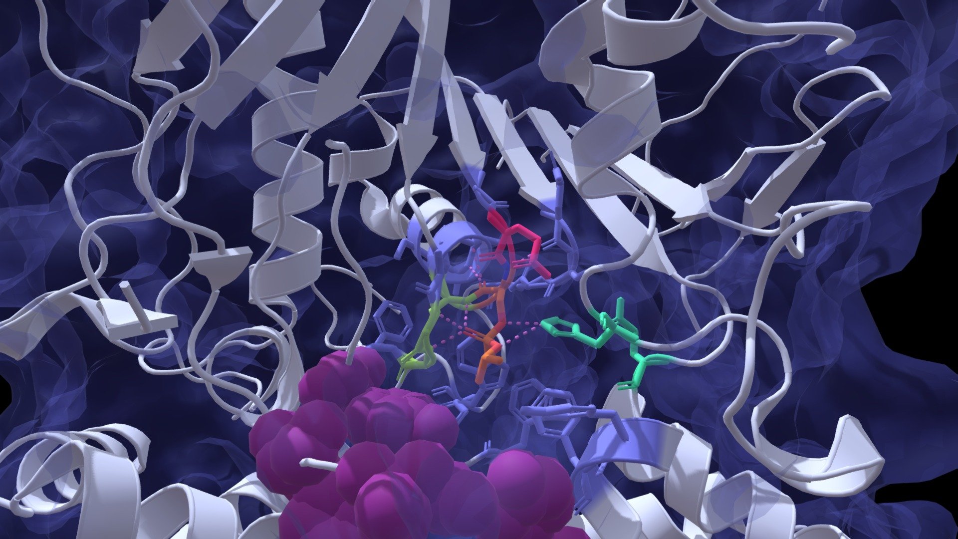 Acetylcholinesterase and Sarin Interactions - 3D model by alexandrialdb ...