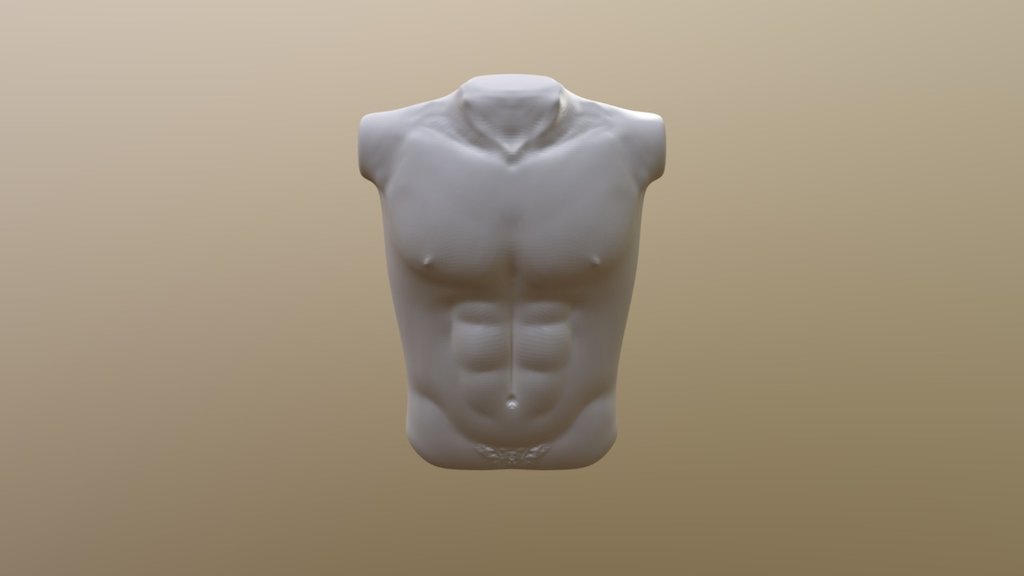 Torso mesh - 3D model by sergi mora (@smora1) [a5816a4] - Sketchfab